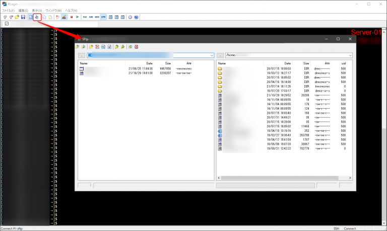 超便利な国産ターミナルソフト！ RLogin の使用方法をご紹介 [Windows] | 株式会社シードライブ企業ブログ