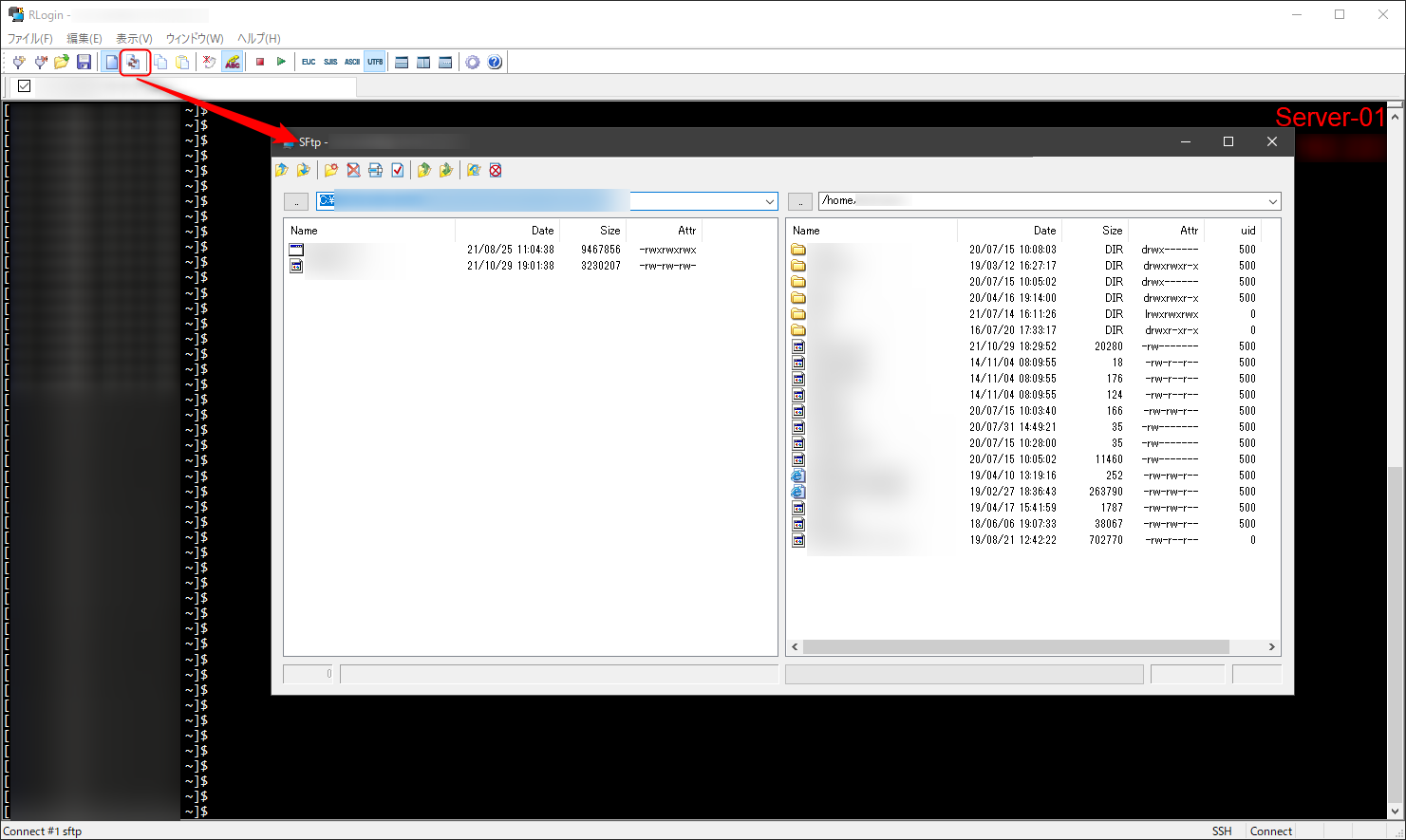 超便利な国産ターミナルソフト！ RLogin の使用方法をご紹介 [Windows] | 株式会社シードライブ企業ブログ