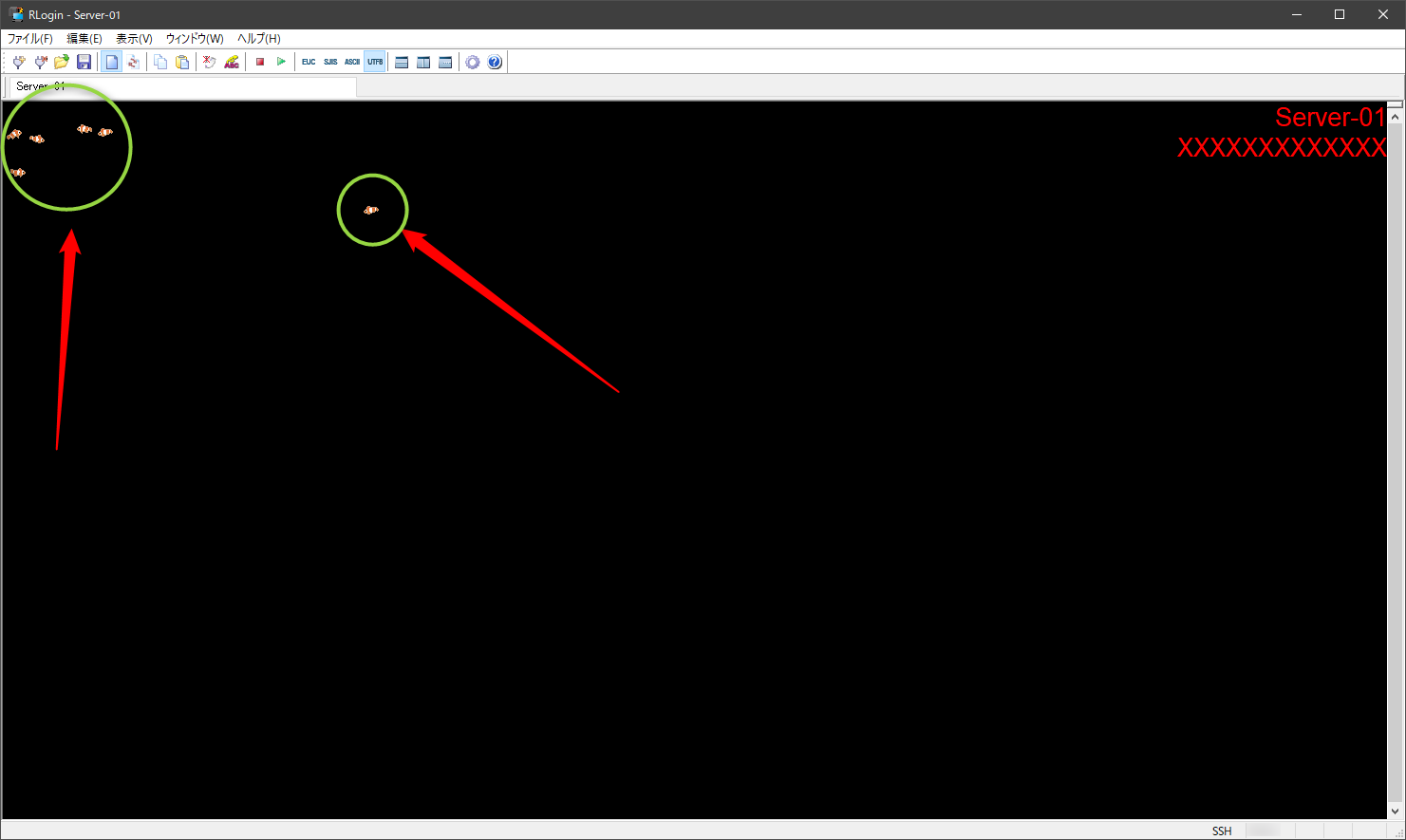 超便利な国産ターミナルソフト！ RLogin の使用方法をご紹介 [Windows] | 株式会社シードライブ企業ブログ